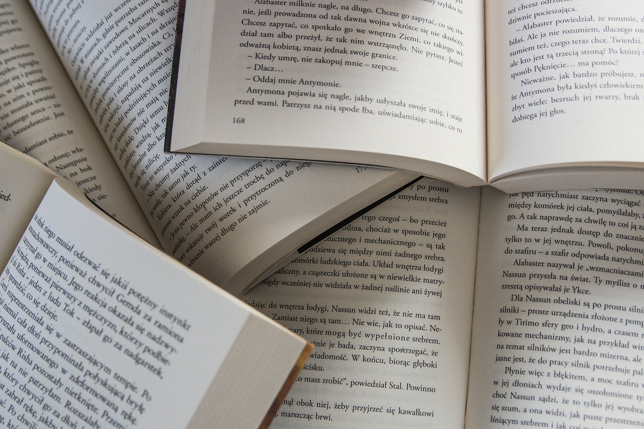 Simulado de Língua Portuguesa - SAEB - D9 (com Gabarito) - Professora Suzana